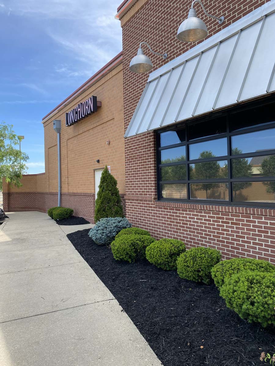 Gallery | Ward's Lawn & Landscape